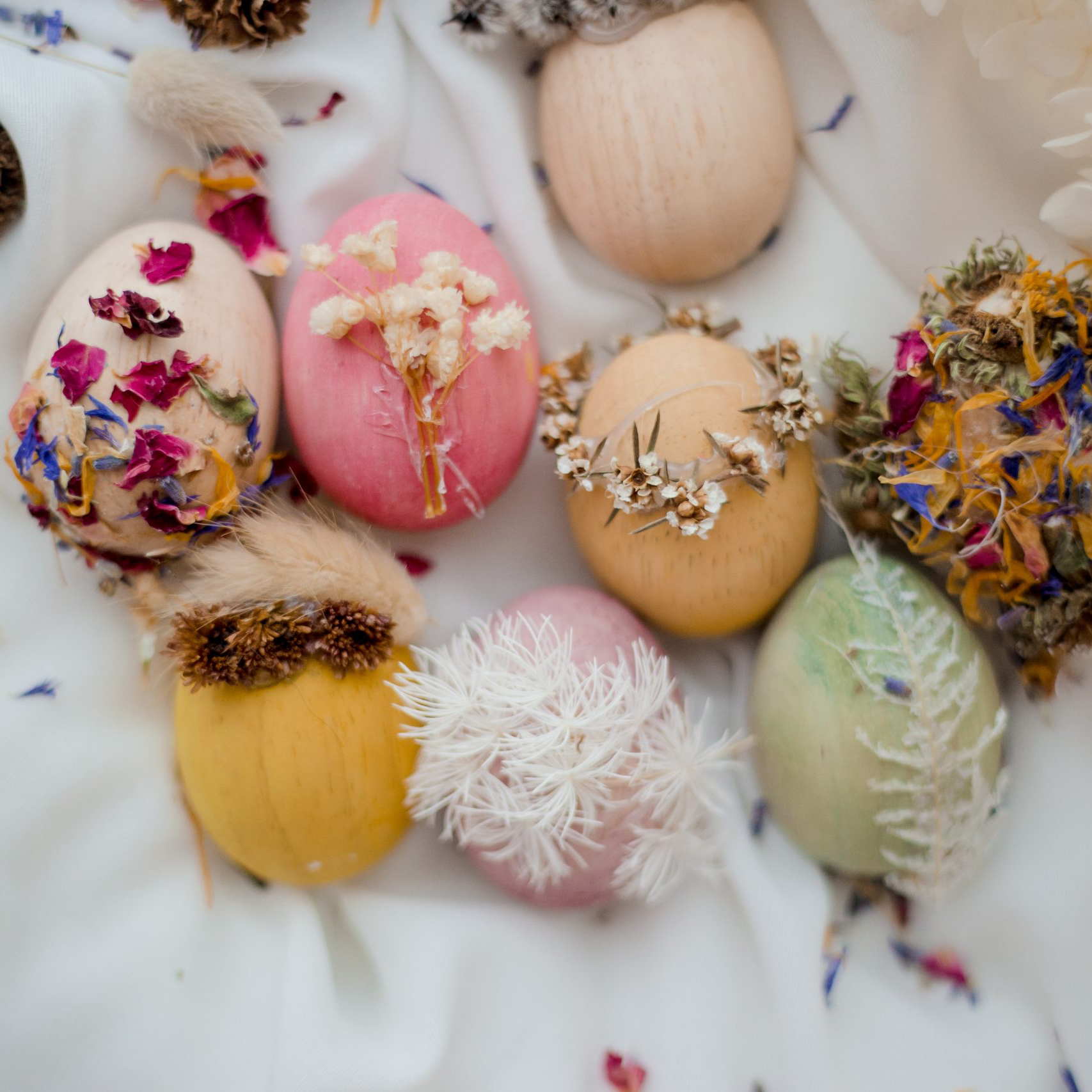 Easter – Little Reef and Friends